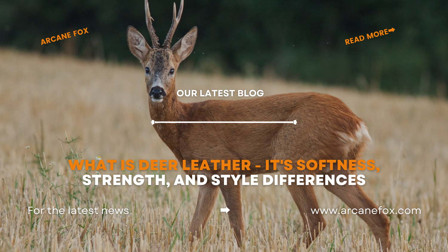 Deer Leather & It's Softness, Strength, and Style Differences